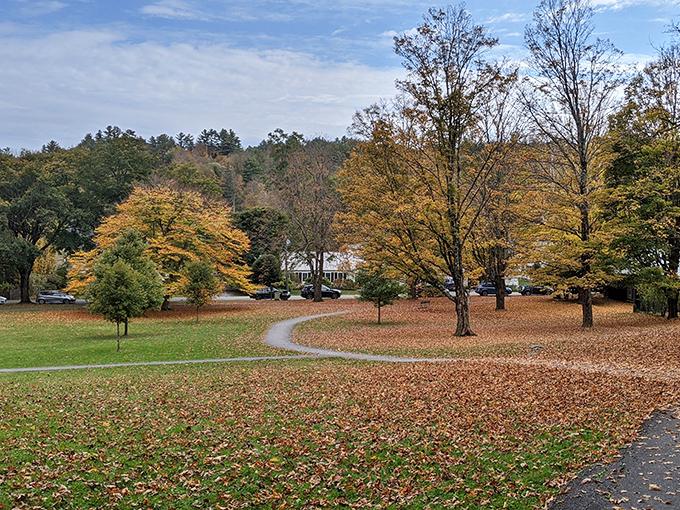 Autumn's golden carpet in the town green&mdash;nature's way of rolling out the red carpet, but with better color coordination.