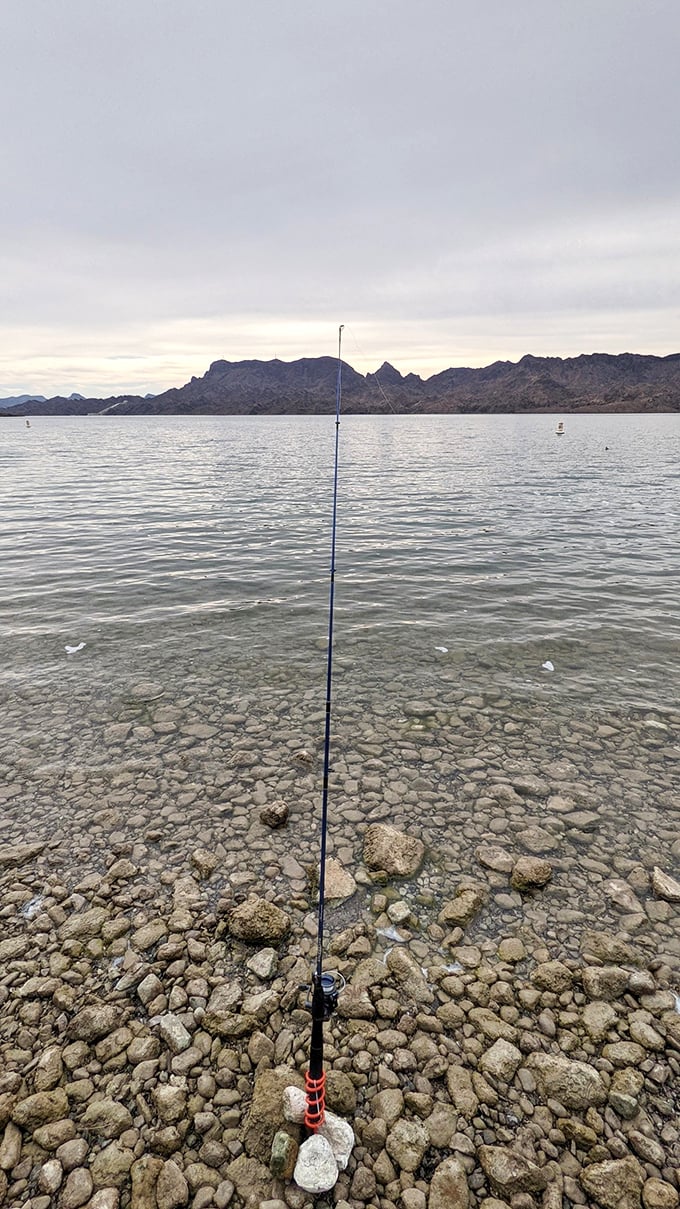 The patient angler knows that fishing is really just an excuse to stand in beautiful places and contemplate life's mysteries.