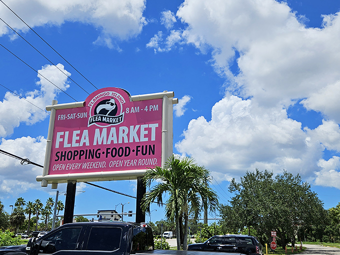 The pink beacon of bargain hunting! This cheerful sign promises weekend adventures filled with shopping, food, and the thrill of the unexpected find.