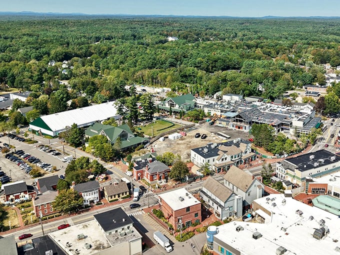 From above, Freeport reveals its perfect blend: forest meets commerce, nature embraces civilization in harmonious coexistence. 