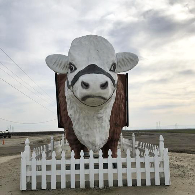 Face to face with the guardian of Highway 58, whose expression seems to ask, "What took you so long to visit?"
