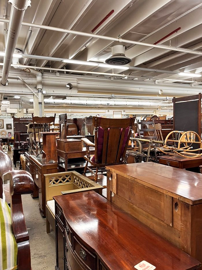 A forest of furniture possibilities where every piece has outlived its original owner and waits patiently for its next chapter.