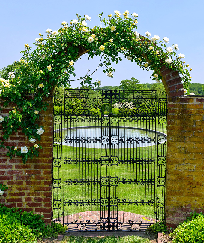 The garden gate that launched a thousand Pinterest boards. Climbing roses frame this wrought-iron entrance like nature's own welcome committee.
