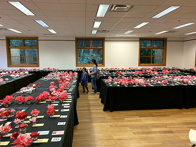 A kaleidoscope of camellia blooms awaits garden enthusiasts. Each flower a masterpiece, collectively creating a pink symphony.