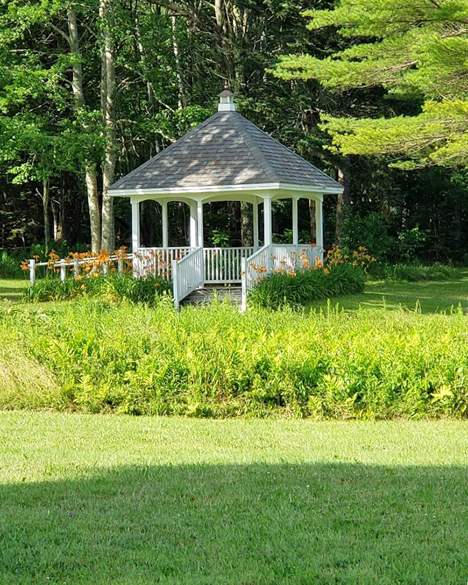 A classic gazebo surrounded by wildflowers looks like it wandered out of a wedding magazine and decided to stay. 