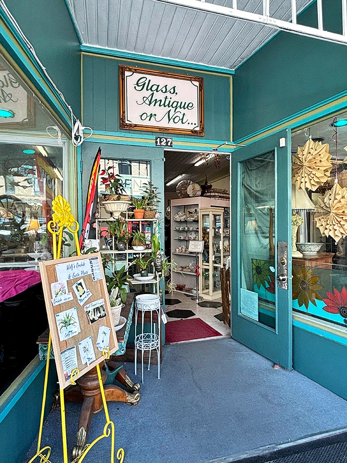 "Glass, Antique or Not" invites treasure hunters into a world where yesterday's ordinary becomes today's extraordinary, the essence of Arcadia's antique scene.