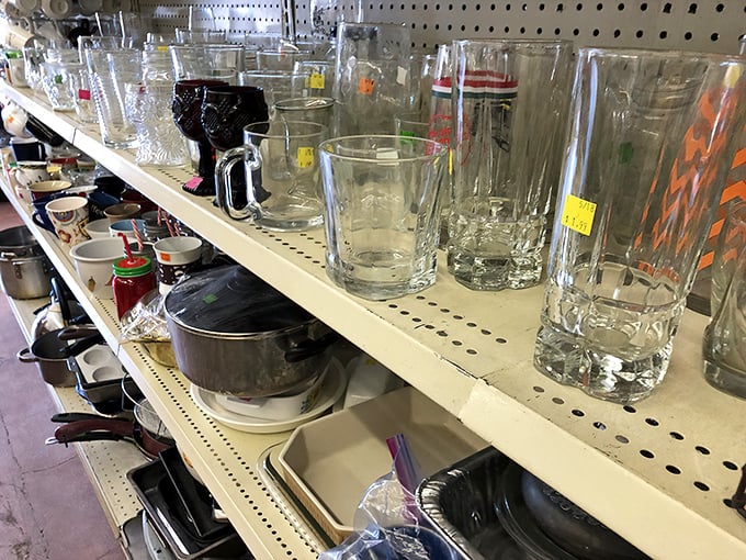 Glassware collection gleaming like crystal possibilities &ndash; your dinner party just got an affordable upgrade.