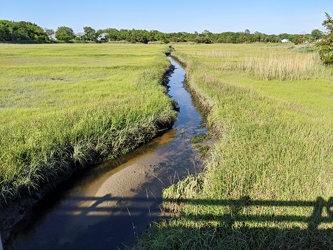 The Great Marsh Preserve showcases nature's version of minimalism&mdash;water, grass, sky. It's the kind of landscape that makes you put down your phone and actually look around.