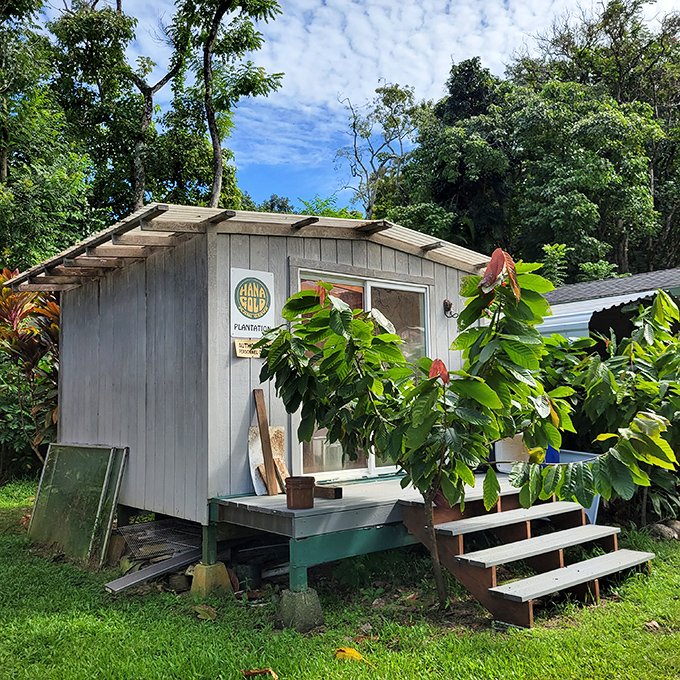 This humble plantation stand might not look like much, but it's where some of Hawaii's most delicious treasures begin their journey to your taste buds.