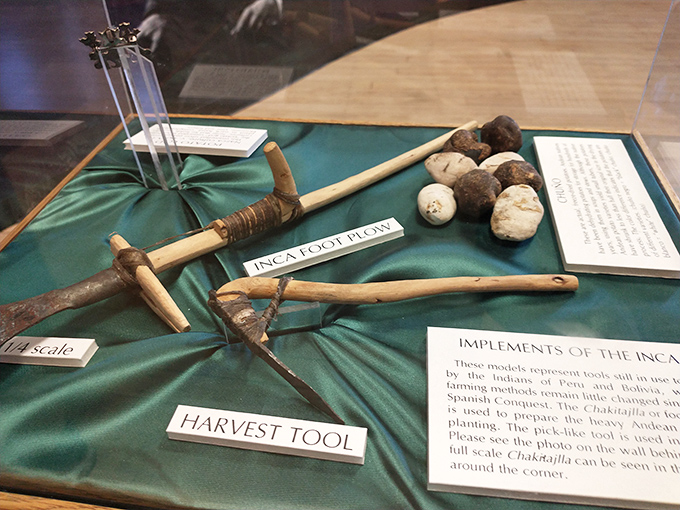 Ancient Incan farming tools reveal that our potato obsession spans centuries and continents. Some relationships are truly timeless.