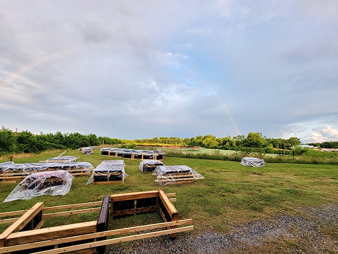 Community gardens at Heron Park provide both fresh produce and fresh air &ndash; retirement essentials that don't show up on cost-of-living calculators.