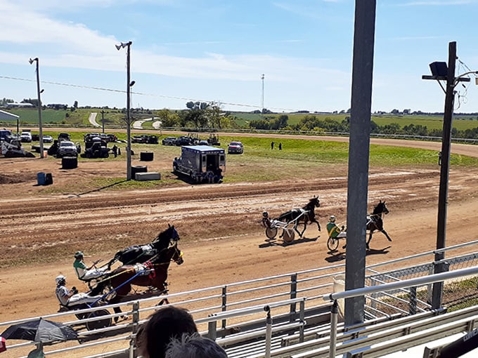 At the local racetrack, harness racing continues a tradition older than your smartphone, connecting modern spectators to agricultural heritage.