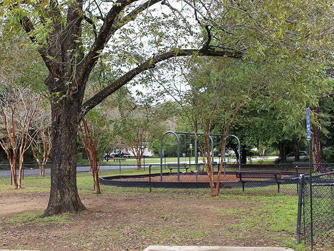 This park's ancient trees have witnessed generations of first kisses, family picnics, and retirement strolls. Nature's cathedral right in the middle of town.