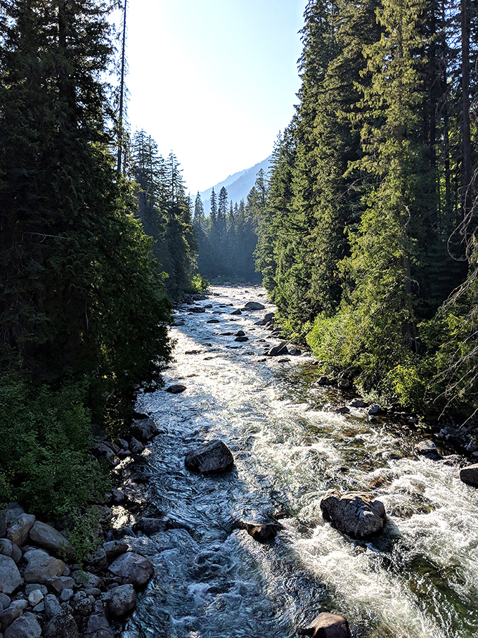 Icicle Creek carves its way through evergreens with the confidence of water that knows it's starring in thousands of visitors' vacation photos.