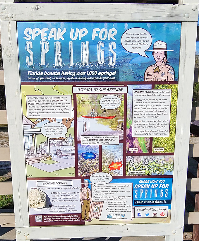 Environmental education that doesn't feel like homework. This colorful board explains why these springs deserve our protection without wagging a finger—much.