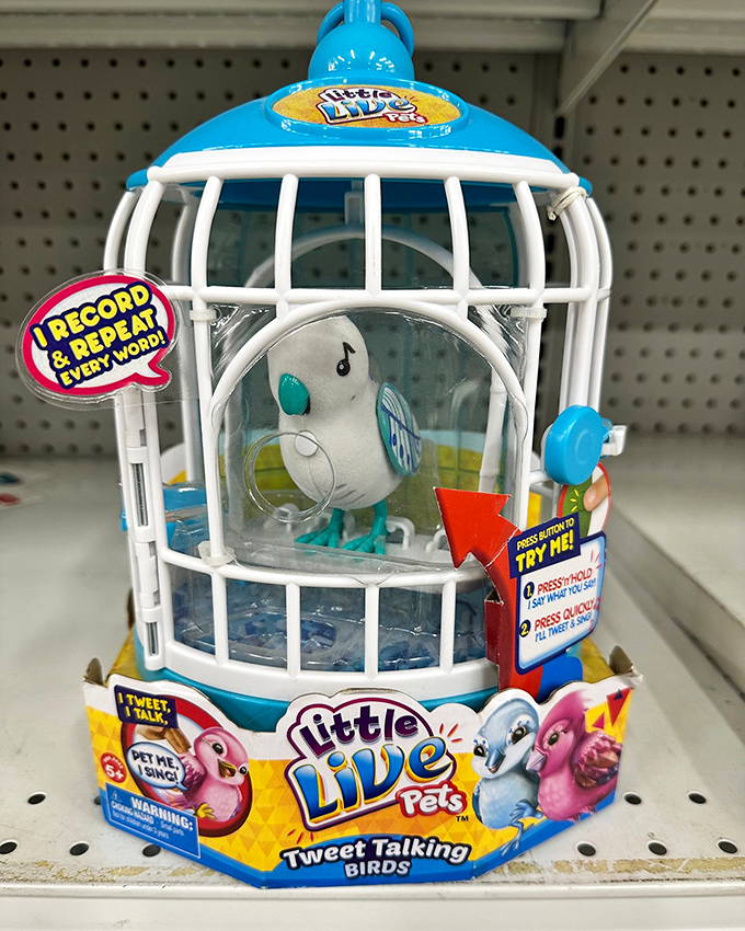 Even toys get second chances&mdash;this "Little Live Pet" bird cage proves one child's forgotten Christmas gift is another's treasure.