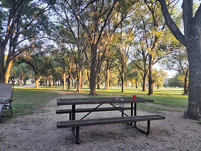 Willow Creek Park's sun-dappled picnic area offers nature's perfect dining room&mdash;where the only reservation needed is the one you make with yourself to slow down.