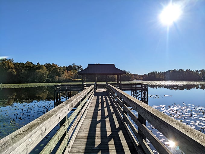Lake Cunningham's wooden pier stretches toward possibilities &ndash; fishing, contemplation, or simply watching the sun dance across the water.