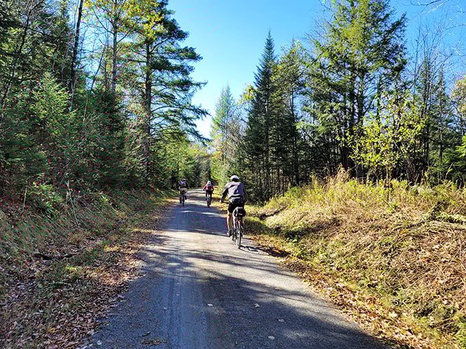 The Lamoille Valley Trail invites cyclists to pedal through nature's gallery, where every turn reveals another Vermont masterpiece.
