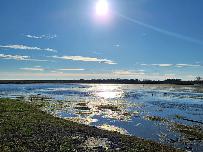 Beyond the castle lies the serene expanse of Irish Bayou, its waters reflecting the brilliant blue sky in a quintessential Louisiana tableau.