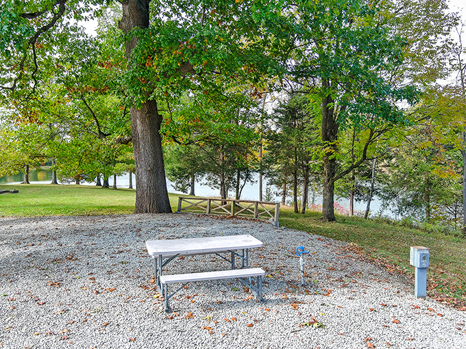 This lakeside picnic spot epitomizes affordable retirement living. Nature provides the entertainment, the view comes free, and your Social Security check stays safely in your pocket.