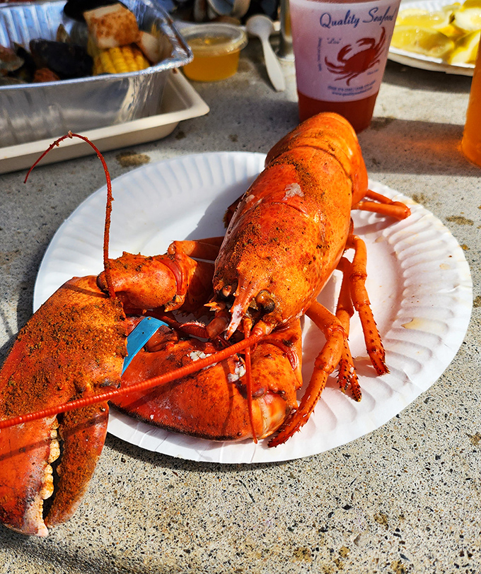A proper lobster feast on paper plates &ndash; because fancy dishware would just get in the way.
