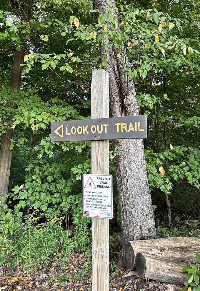 Look Out Trail delivers on its promise&mdash;views that make you forget to check your phone for hours.