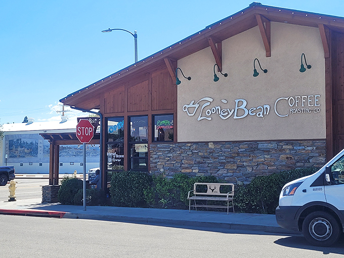 Looney Bean Coffee proves that great coffee tastes even better when mountains are part of the morning routine.