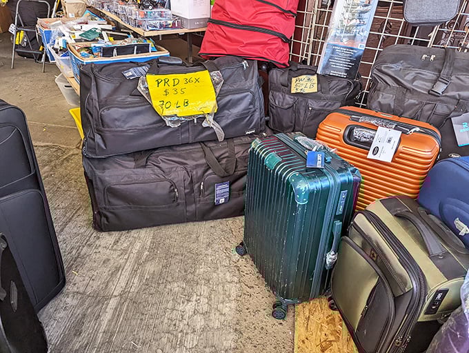 Luggage in jewel tones stacked and ready to carry your adventures, proving travel gear needn't cost vacation money.