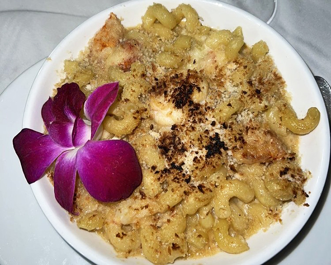 Mac and cheese gets the French treatment with a gorgeous purple orchid. Comfort food dressed for a night at the opera.