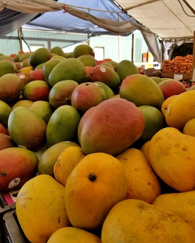 A mountain of mangoes promises sweet, sticky fingers. Summer's most luxurious mess waits to be taken home by the bagful.