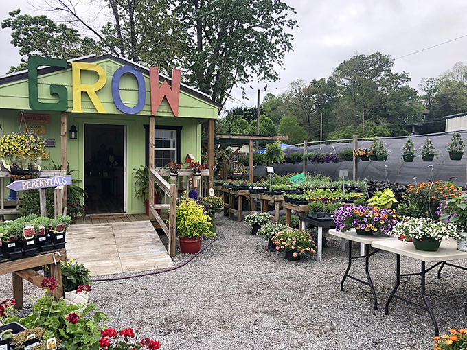 A rainbow of blooms announces "GROW" in more ways than one. This garden center plants possibilities, not just perennials.