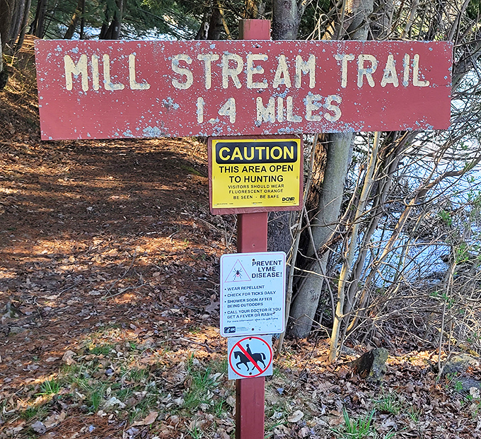 Mill Stream Trail beckons with promises of adventure and helpful reminders that we're just visitors in nature's living room.