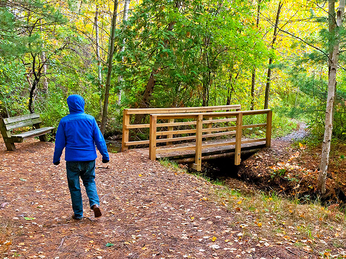 The wooden bridge invites wanderers deeper into the forest, where Michigan's fall palette creates the kind of natural art gallery that makes smartphones feel inadequate.