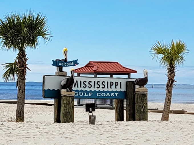 The welcome committee has feathers! This charming sign greets visitors with pelican ambassadors who've perfected the art of looking photogenic while doing absolutely nothing.