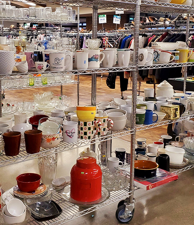 Mug collectors, brace yourselves! This treasure trove of ceramic personality could either complete your collection or dangerously expand it for just a few dollars.
