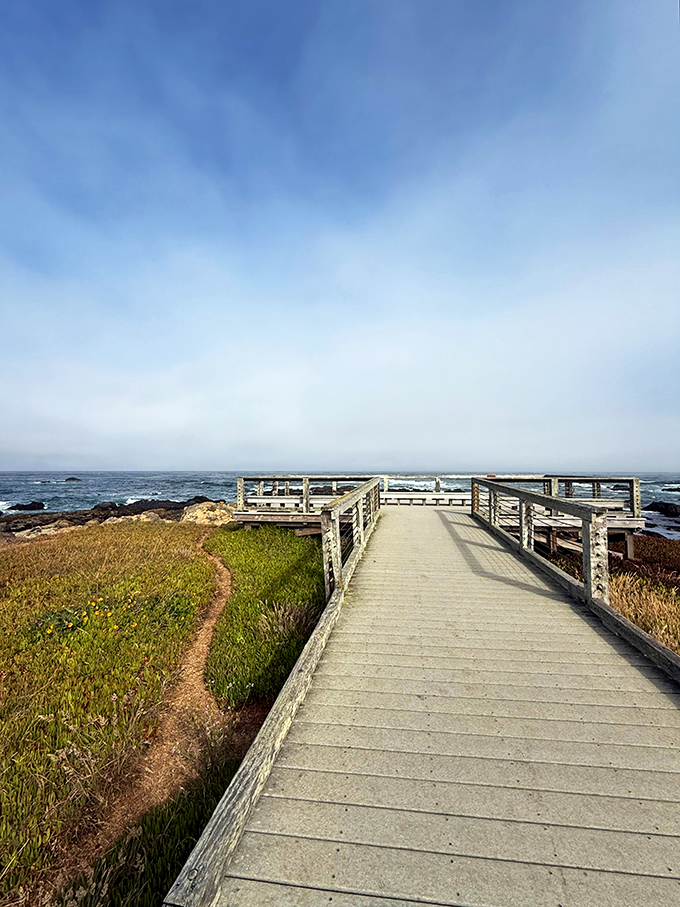 The boardwalk to bliss &ndash; where you can experience the Pacific's majesty without getting sand in places sand should never be.