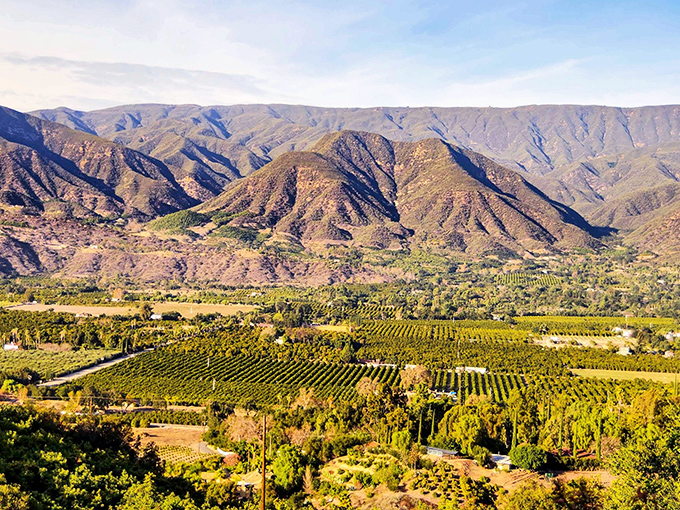 The Ojai Valley unfolds like nature's quilt&mdash;patches of orchards, vineyards, and wild chaparral stitched together beneath mountains that change color with the light.