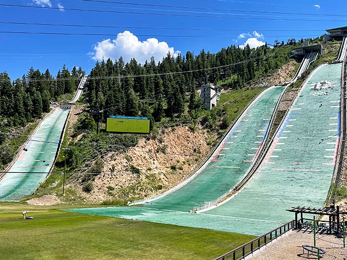 Olympic Park's impressive ski jumps remain from the 2002 Winter Games, offering budget-friendly tours where Olympic dreams still soar through mountain air.