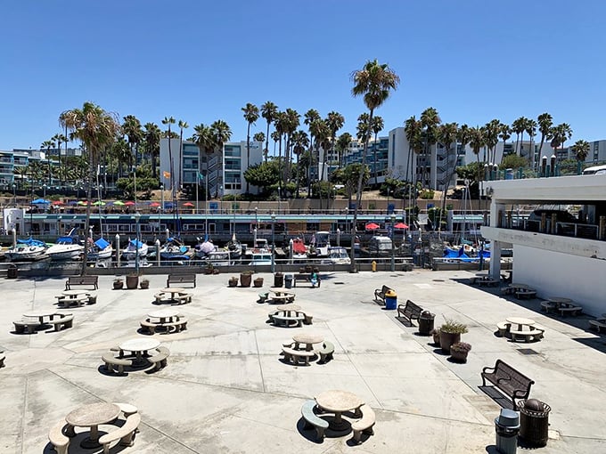 The outdoor dining area offers views of bobbing boats and swaying palms. A quintessential Southern California backdrop for your seafood feast.