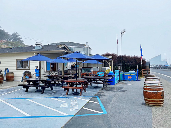 The perfect outdoor dining room: wooden barrels, blue umbrellas, and the promise of seafood that tastes like it jumped straight from ocean to plate.