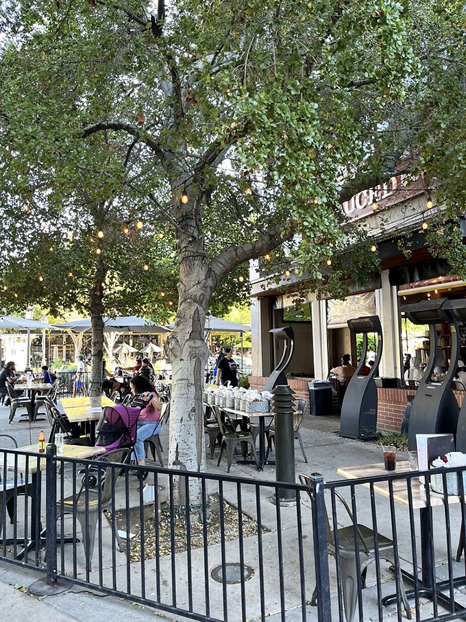 Outdoor seating beneath leafy trees offers a perfect spot to enjoy smoky delights while people-watching in downtown Livermore.