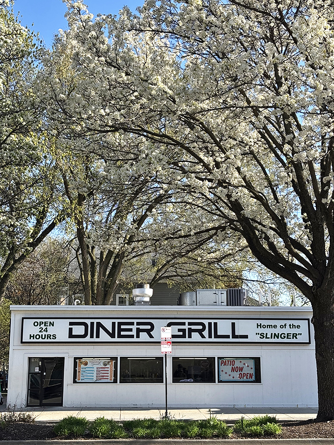 Spring at Diner Grill: blossoms frame the humble building like nature's endorsement. "Home of the Slinger" indeed&mdash;and so much more.