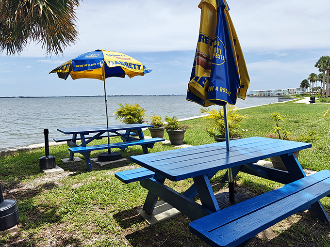 Blue picnic tables with a water view—nature's dining room. No reservation required, just an appetite and appreciation for simple pleasures.