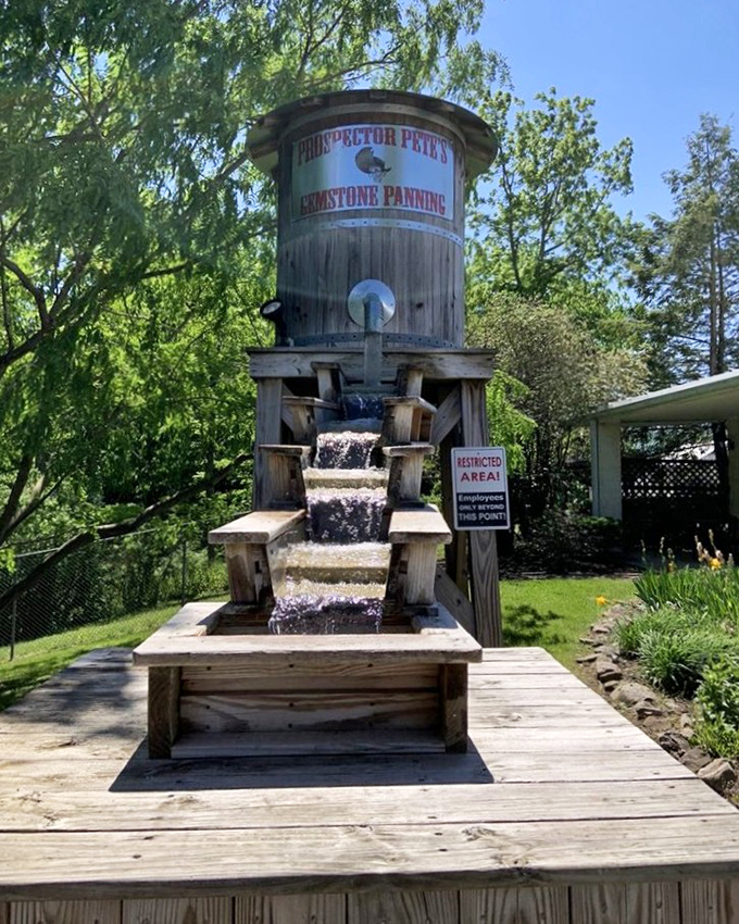 Old-school entertainment that still strikes gold with kids today. This gemstone panning station proves that sometimes the simplest activities create the shiniest memories.