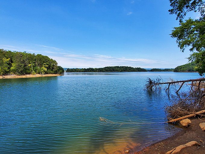 Panther Creek State Park's pristine waters reflect the surrounding mountains, offering a natural sanctuary just minutes from downtown Morristown.
