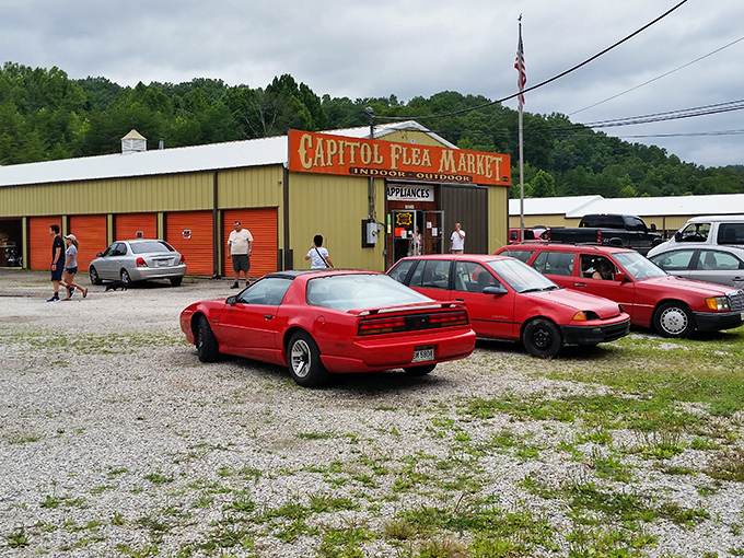 The unassuming exterior belies the wonderland within. Those cars in the lot represent fellow adventurers on the same treasure-hunting mission.
