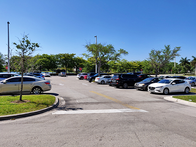 The parking lot&mdash;final resting place of credit cards and starting point of buyer's remorse. Remember where you parked or face the Florida heat walk of shame.