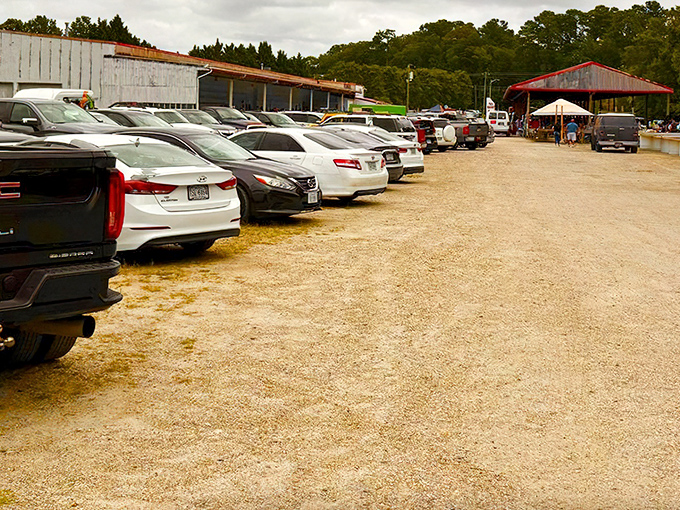 The packed parking lot tells the story&mdash;Jefferson Flea Market draws crowds who know where Virginia's best bargains hide.