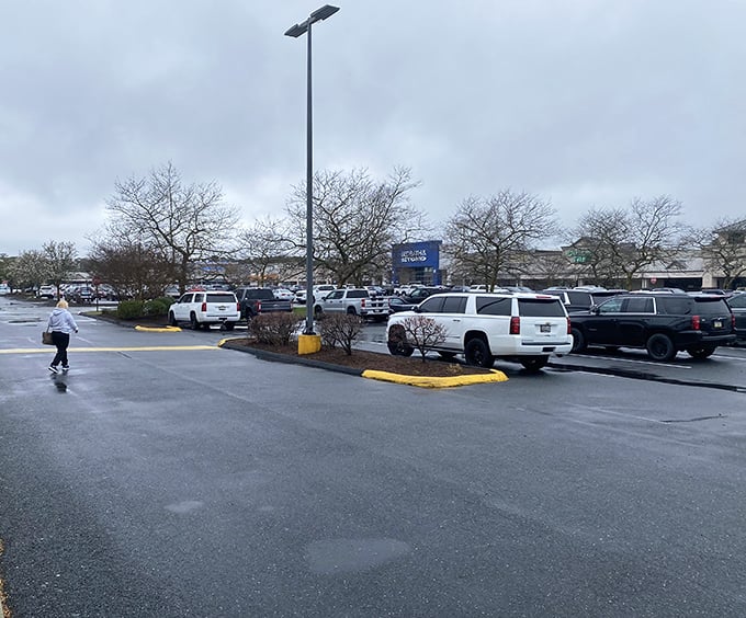 The parking lot: final resting place of shopping stamina and the scene of many "how will we fit all this in the car?" negotiations.